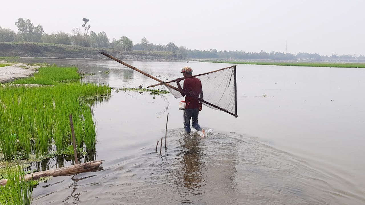 Amazing Net Fishing Video | Unique Net Fishing Video | River Fishing ...