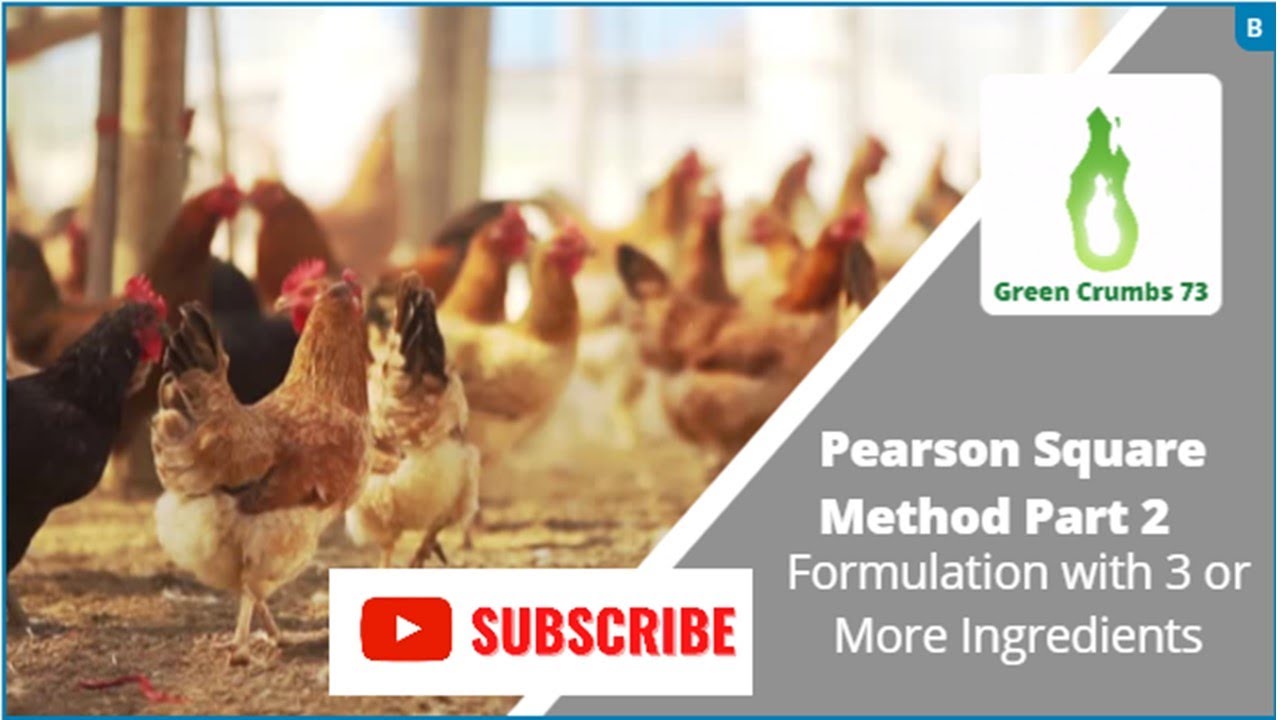 Practical Feed Formulation Using Pearson Square Method Part 2 YouTube practical-feed-formulation-using-pearson-square-method-part-2-youtube