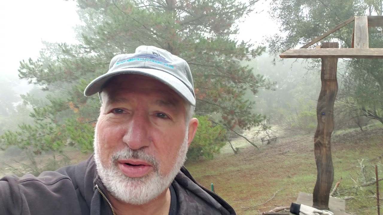 Realty Rich TV Saturday yard work - YouTube