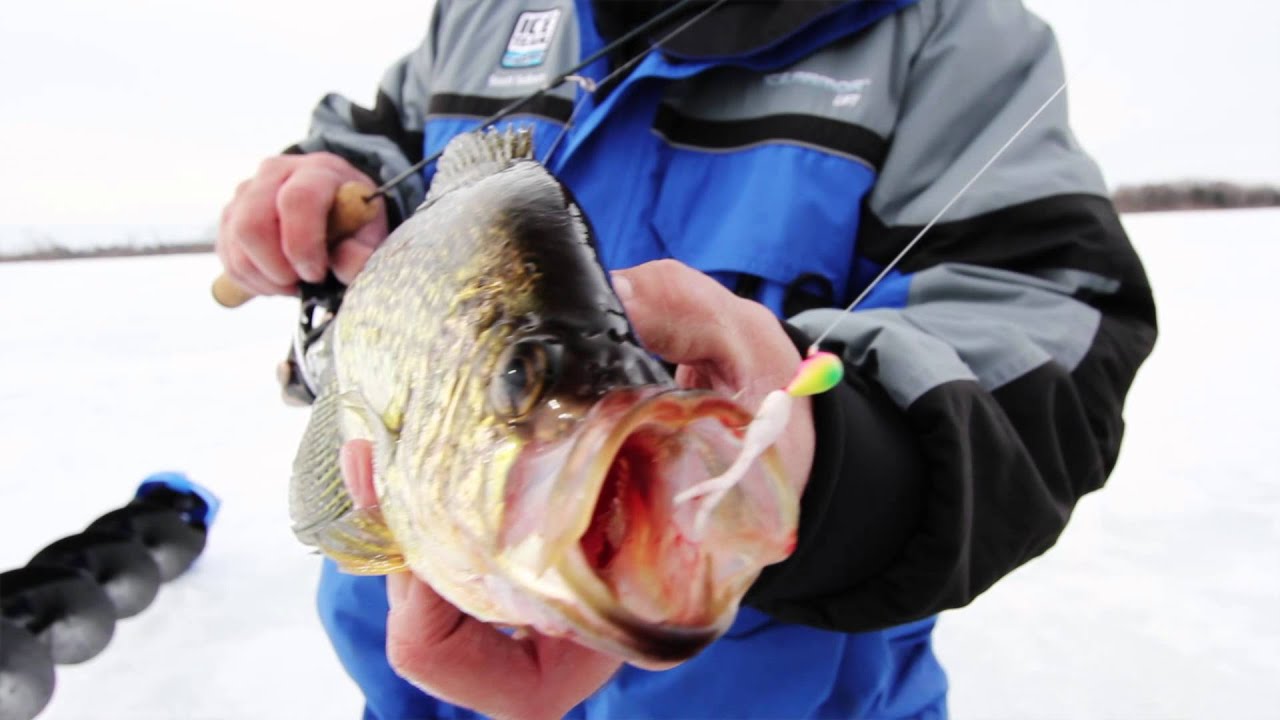Big Bluegills: Clam Pro Tackle Drop XL - YouTube