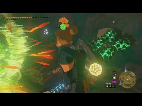 Discovery: Sarjon Woods Cave, West Necluda | The Legend of Zelda: Tears of the Kingdom