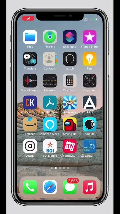 Ios 15 Developer Beta 2 Bugs In Iphone Xs Home Screen Glitch Watch