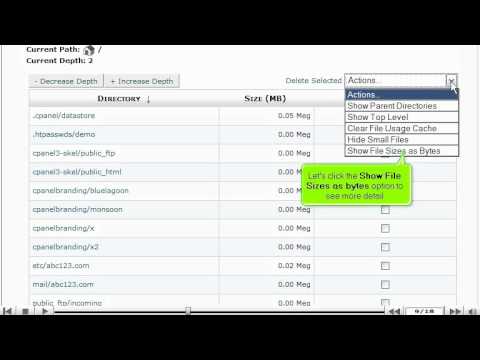 Using the Disk Usage Viewer in CPANEL - CPANEL Video Tutorials (CPANEL 11) - YouTube