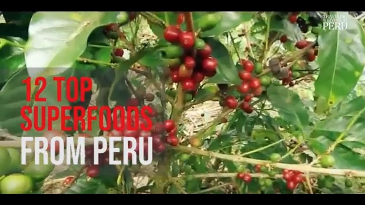 12 Peruvian Superfoods to Add to Your Healthy Diet - YouTube