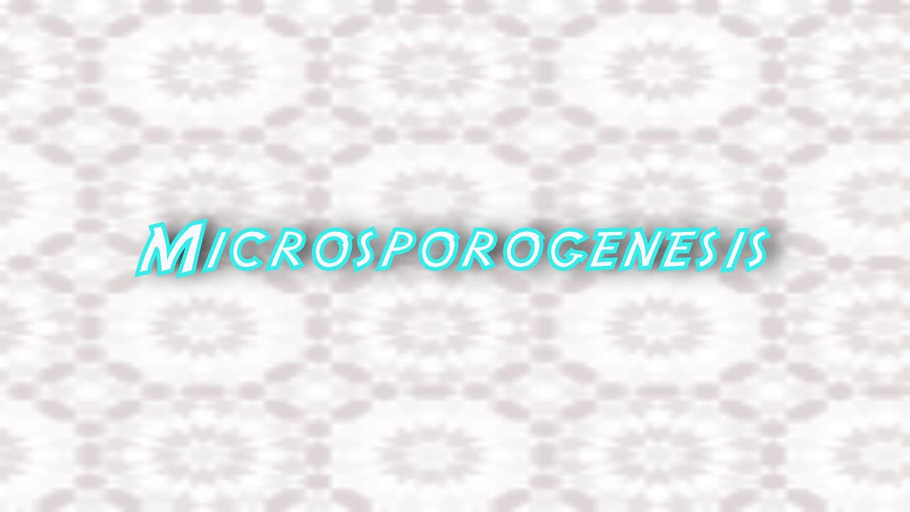 Microsporogenesis-Sexual reproduction in flowering plants (class 12 ...
