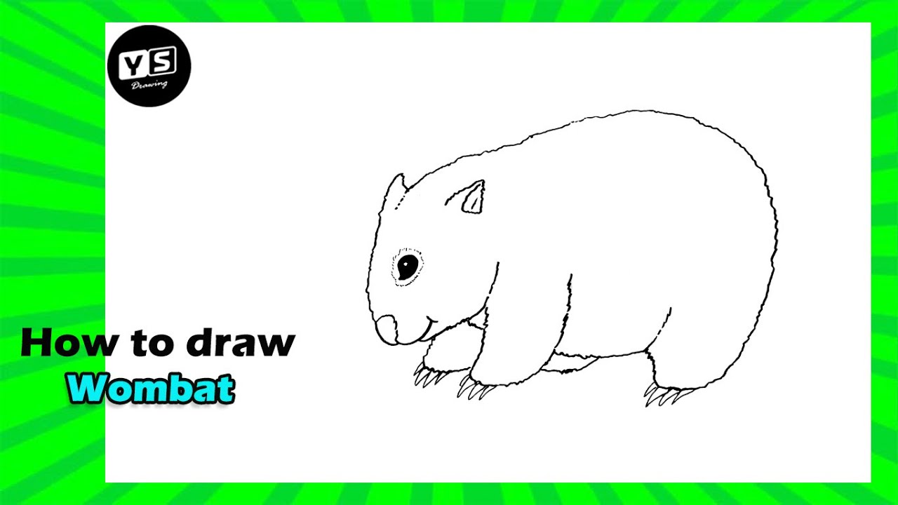 How to draw Wombat - YouTube