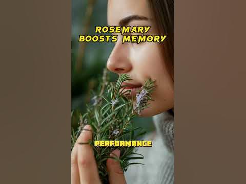 Rosemary Boosts Memory: Nature's Brain Power Elixir! #rosemary #brain # ...