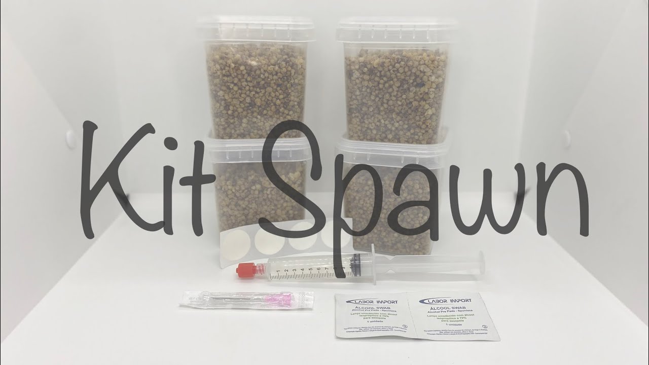 Cultivando com o Kit SPAWN - YouTube