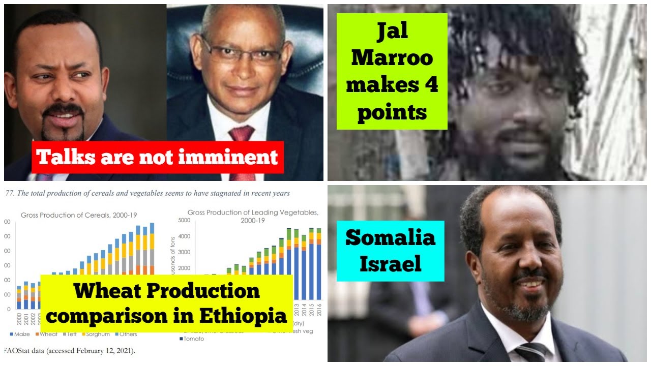 Jaal Marro's 4 points | Tigray-Ethiopia talks not imminent | Somalia ...