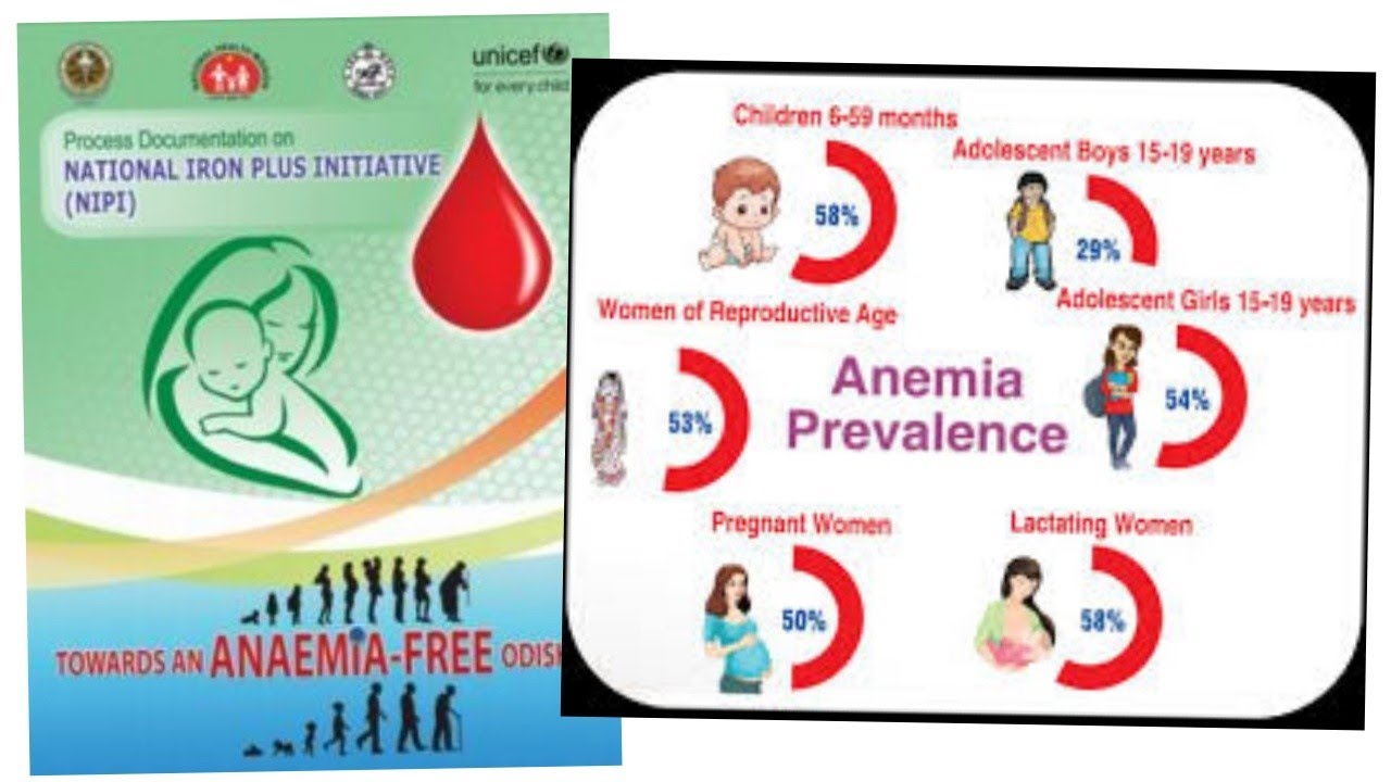 National Iron Plus Initiative # Anemia prevention # Dose of iron tablet ...