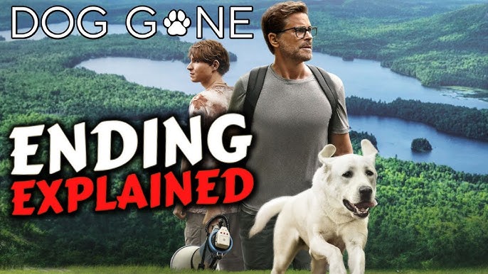Dog Gone Movie