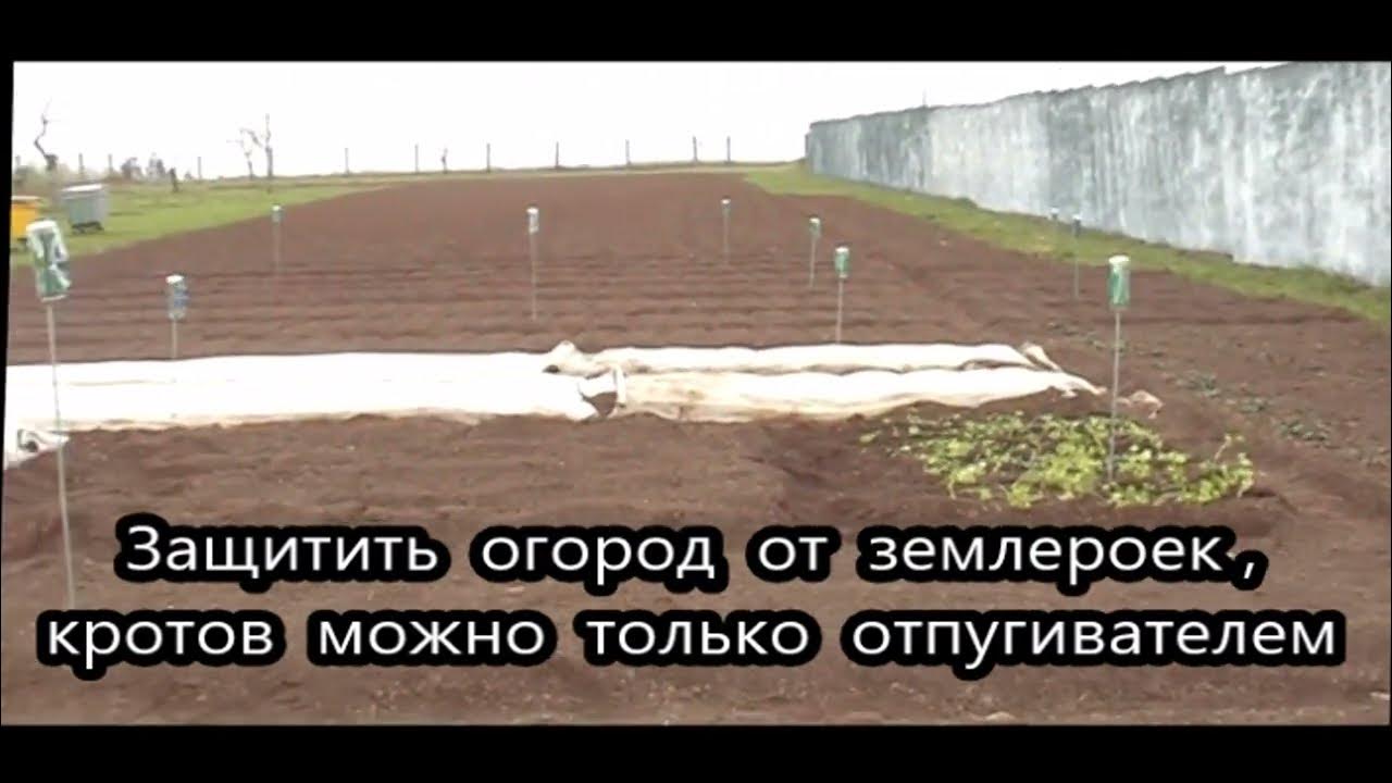 Супер отпугиватель землероек и кротов своими руками - YouTube