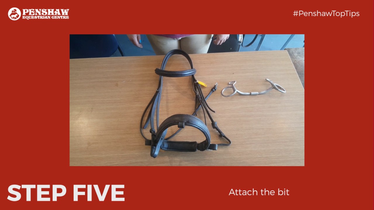 Easy Bridle Assembly - YouTube