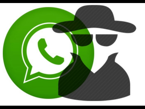 Whatsapp profilime kim baktı başkasının whatsapp takip etmr