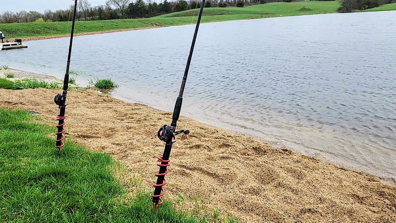 This is the BEST POND I've EVER FISHED!! (Weird Catch) - YouTube