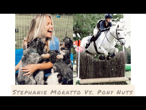Stephanie Moratto Vs.Pony Nuts ~ Gracie Tyte #horses #equestrian # ...