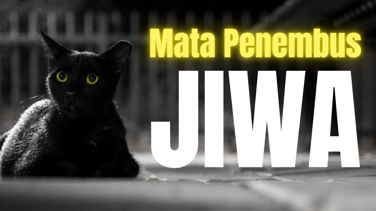Kenapa Mata Kucing Hitam Terlihat Lebih Tajam dan Misterius? - YouTube