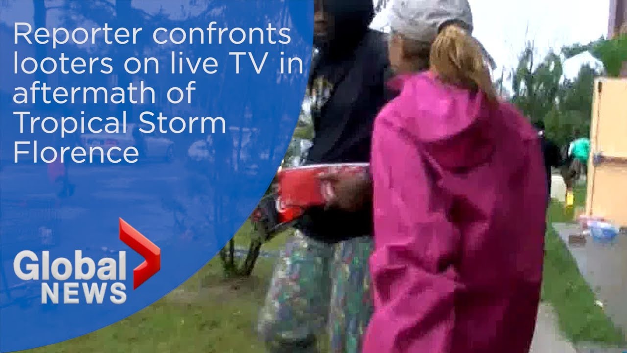 Hurricane Florence: Reporter confronts people looting in on live TV ...