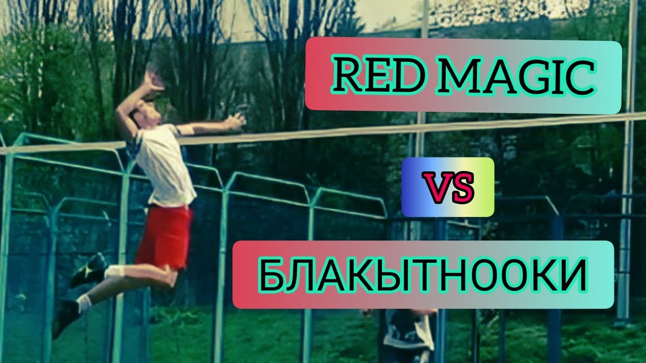 Volleyball. Tournament. Kyiv. Red Magic/Блакытнооки 2:0 - YouTube