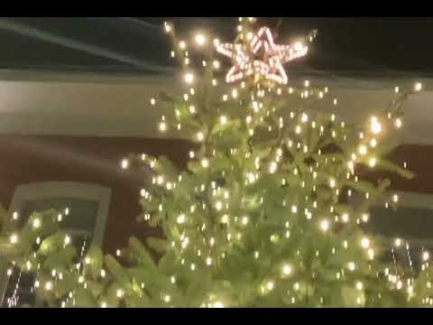 Christmas tree irl 🎄🎅😇 - YouTube
