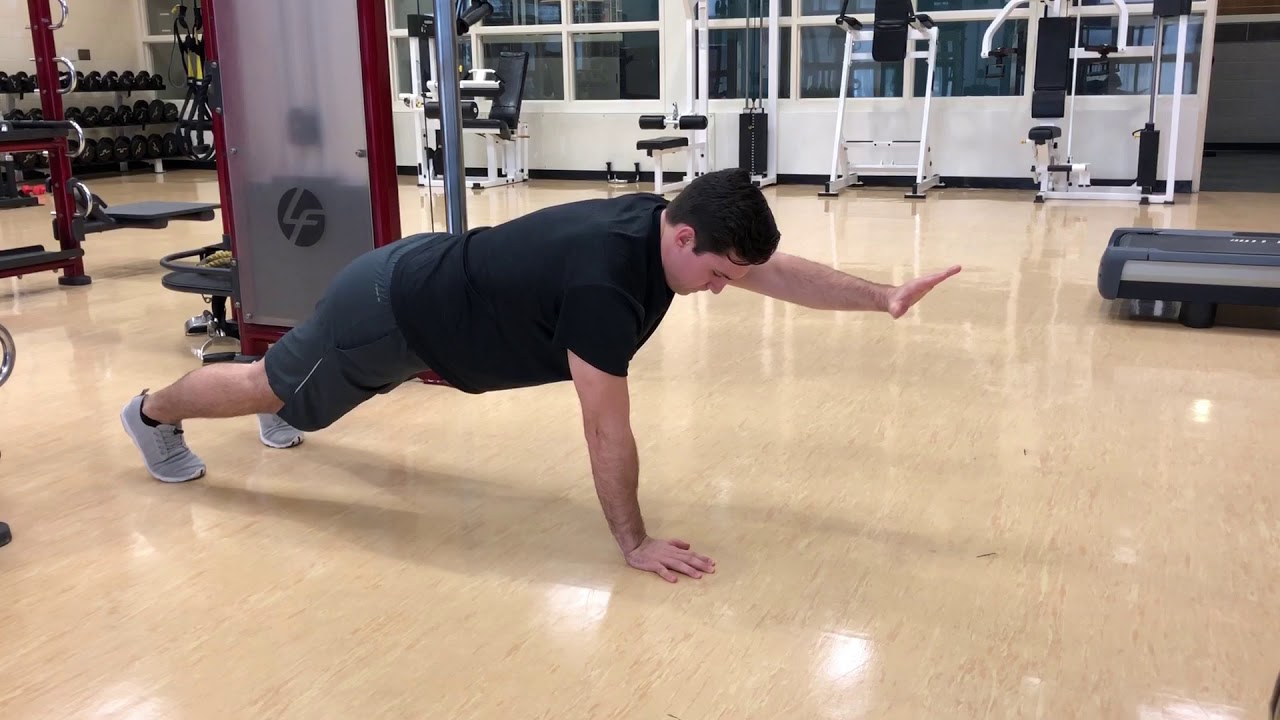 Alternating One Arm Plank - Exercise Library - YouTube