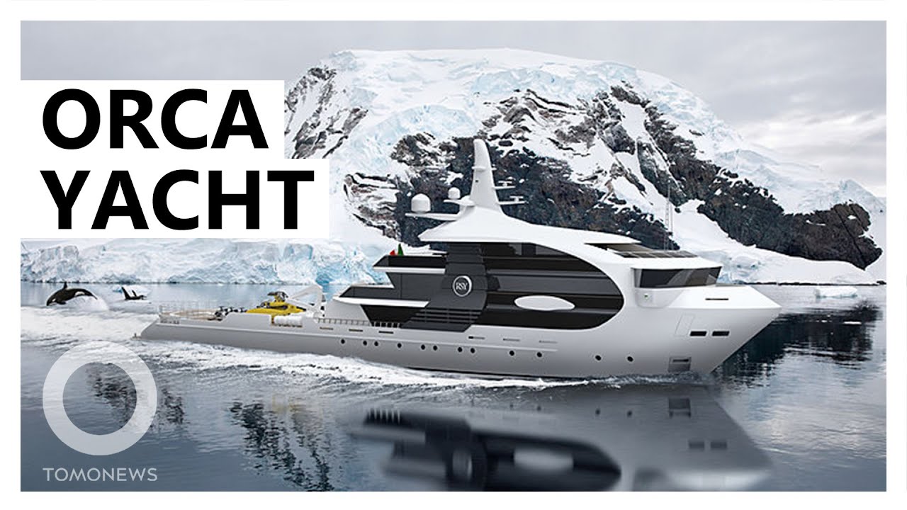 Project Orca: New superyacht inspired by killer whales - TomoNews - YouTube