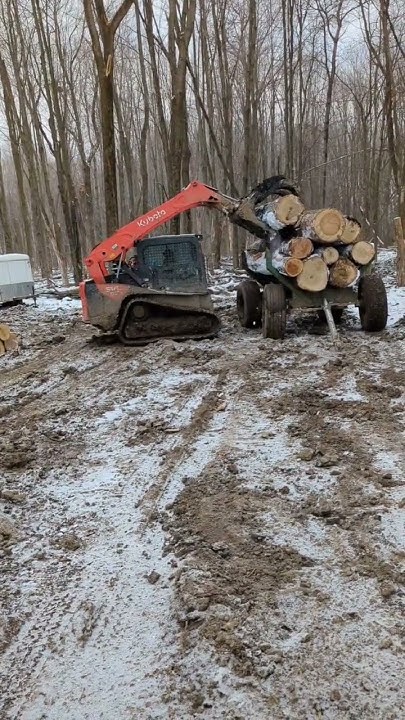 LOGGING done RIGHT on CLIENT'S PROPERTY in NORTHEAST OHIO: KUBOTA SKID ...