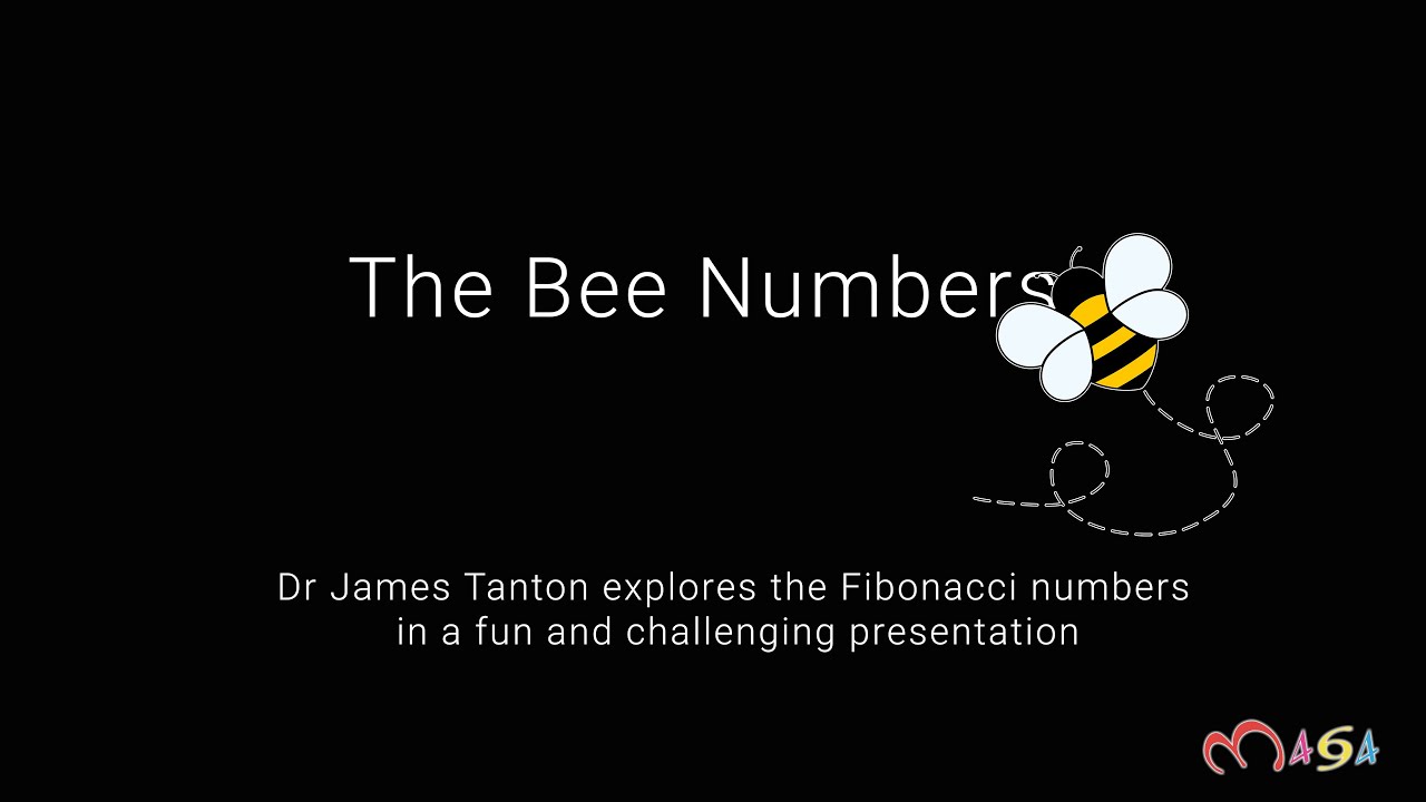 The Bee Numbers - YouTube