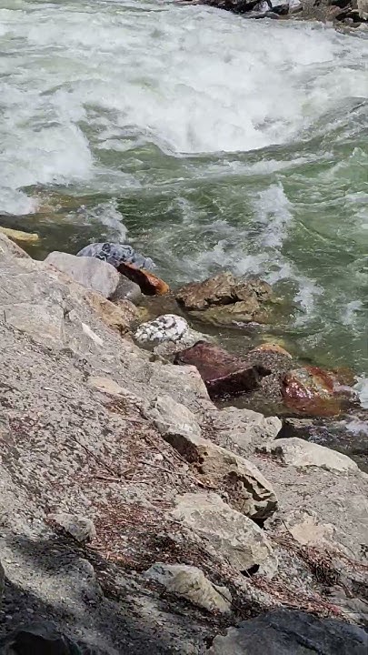 🌊 Beautiful river rockhounding adventures! #rockhound #rockhounding #rockhunting - YouTube