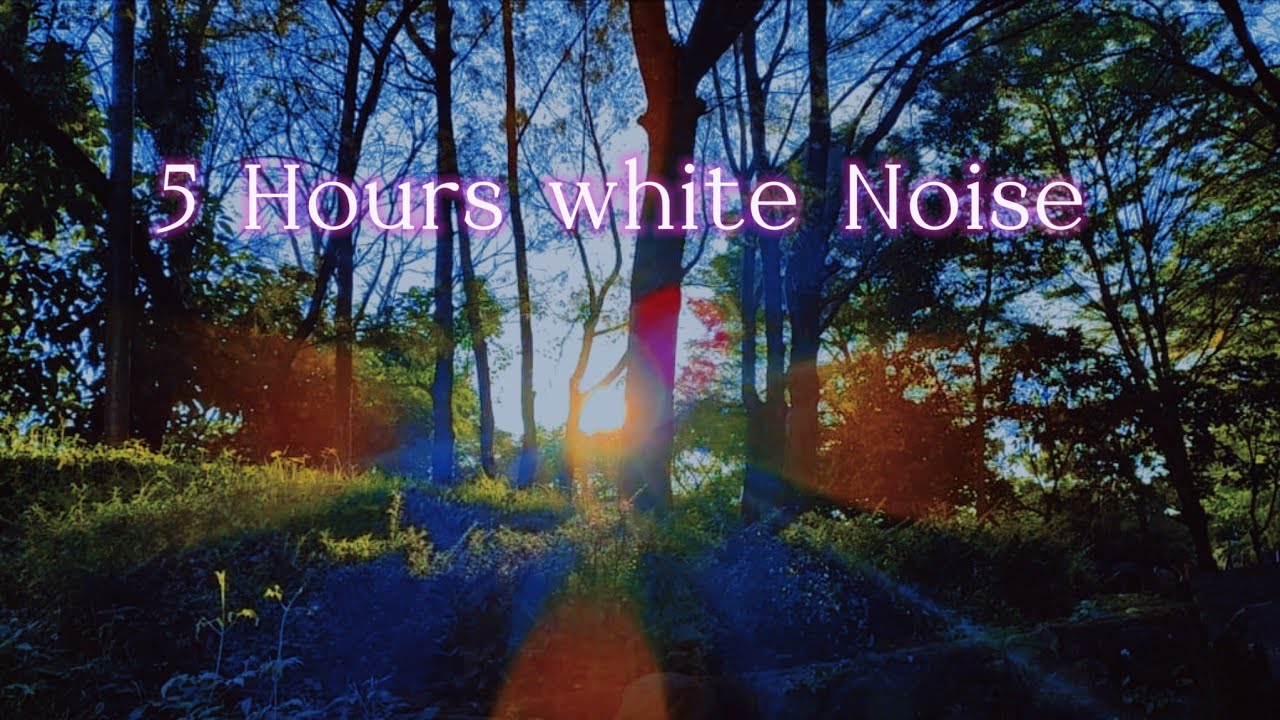 Relaxing Nature Sound, Forest #soundforest - YouTube