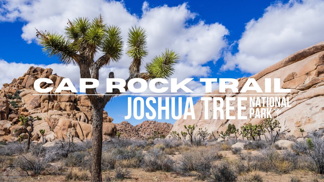 Hiking Joshua Tree National Park: Cap Rock Trail - YouTube
