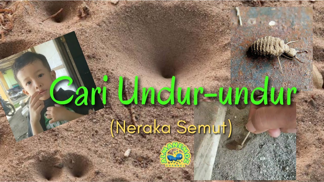 Cari Undur-undur (Neraka Semut) - YouTube