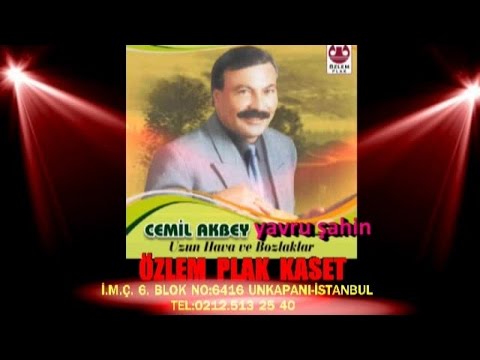 Cemil Akbey -  Yavru şahin