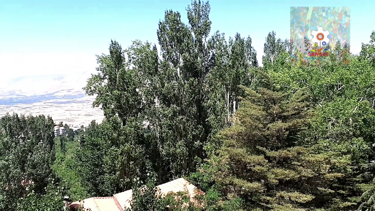 سوريا ريف دمشق بلودان 2019 عودة الأمان إلى ربوع دمشق Youtube
