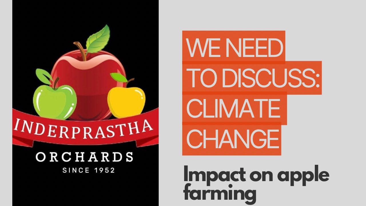Apple farming in himachal is in danger ?? Climate change ? - YouTube