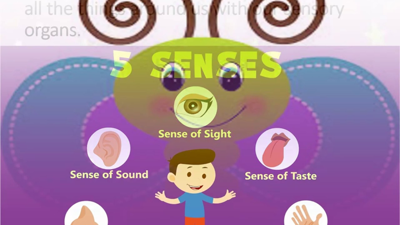 Grade 2 ENV Lesson 3 Ways of Receiving Information 1 - YouTube