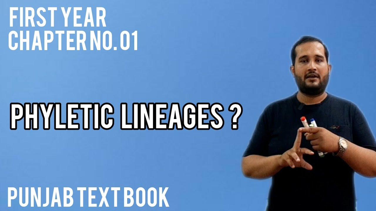 Phyletic lineages | Biology Chapter 01 | First Year - YouTube