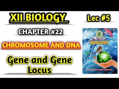 Gene and Gene locus lec 5 class 12 biology new book - YouTube
