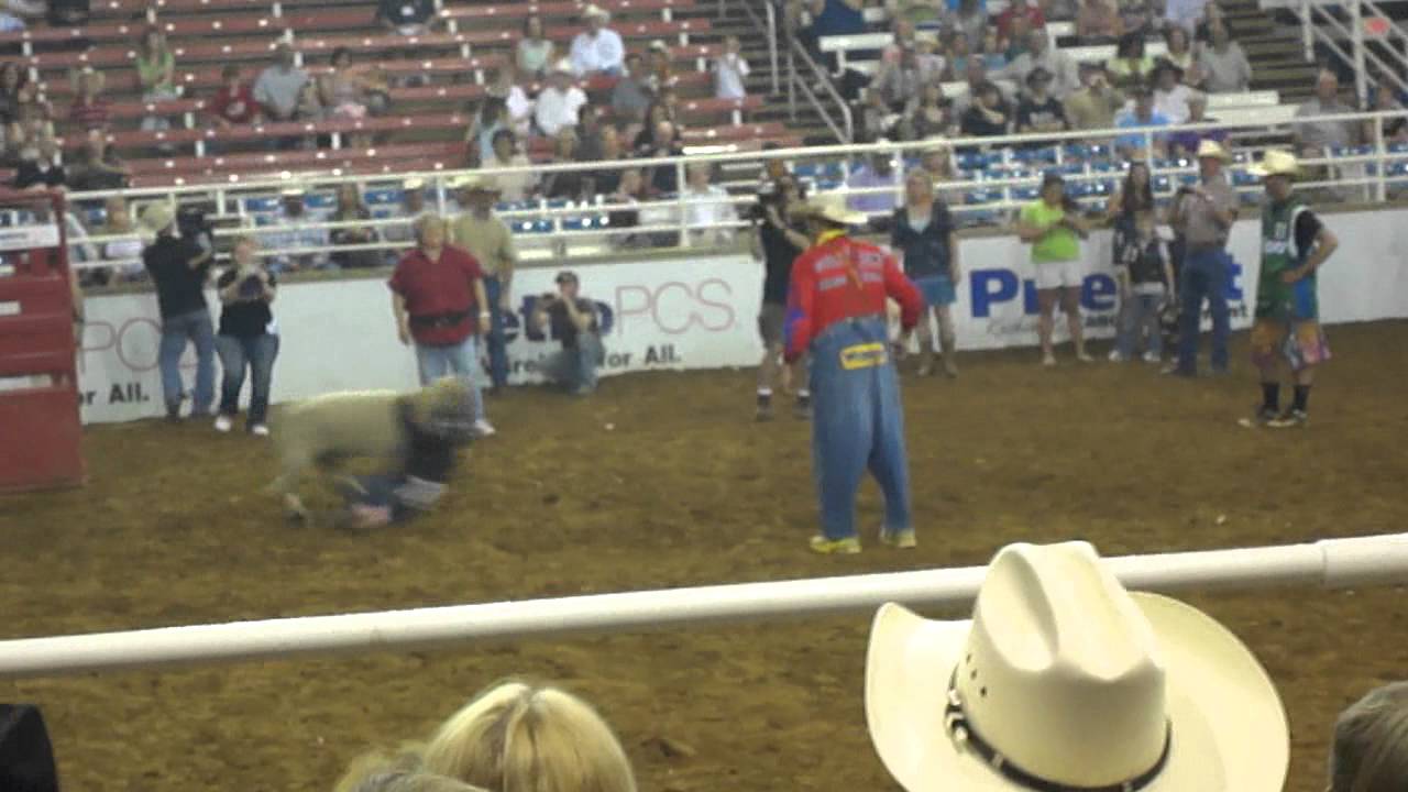 Kids riding sheep at the Mesquite Rodeo - YouTube