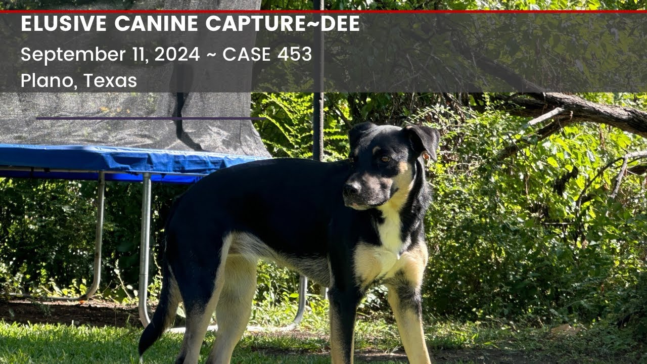 Dee, Case 453, Plano Texas - YouTube