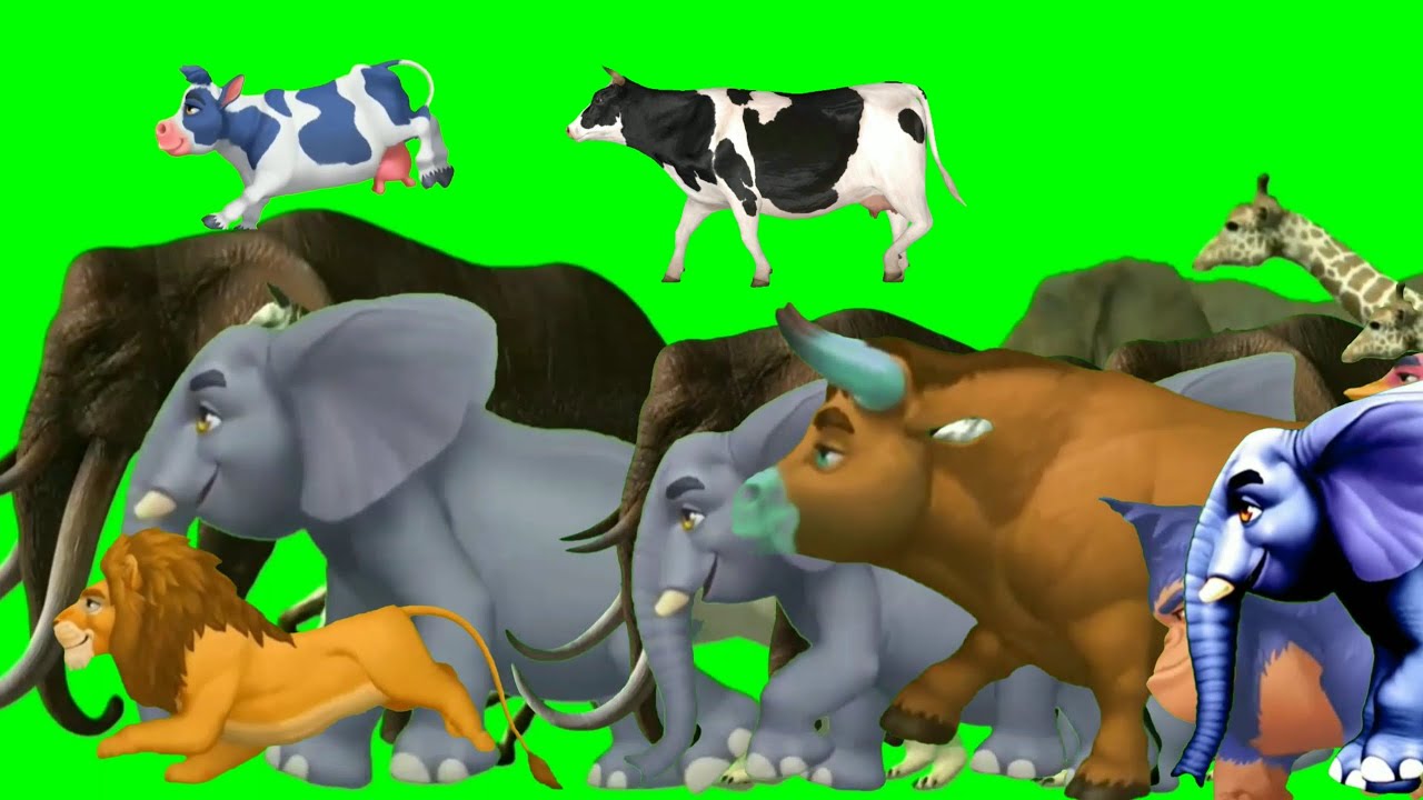 Fun animal's stampede | animals running | stampede green screen ...