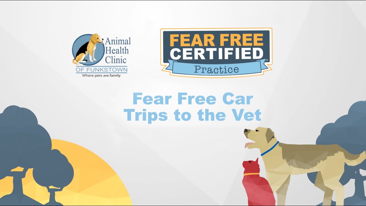 Animal Health Clinic of Funkstown: Fear Free car trips to the Vet - YouTube