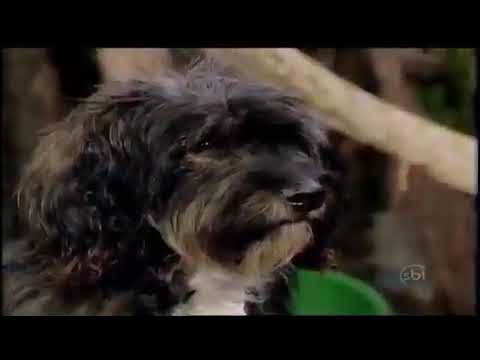 Marimar Capitulo 19 Parte 2