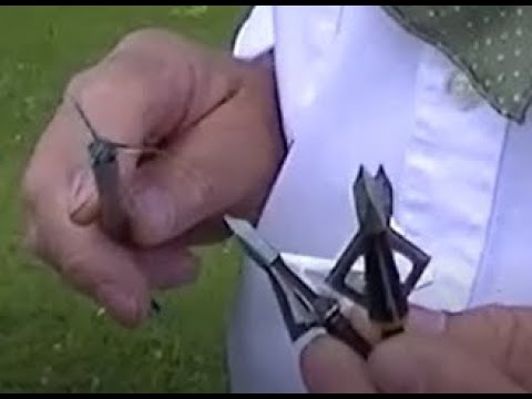 Fixed blade test---Guess which head is the Boss--Blue Jacket Archery ...