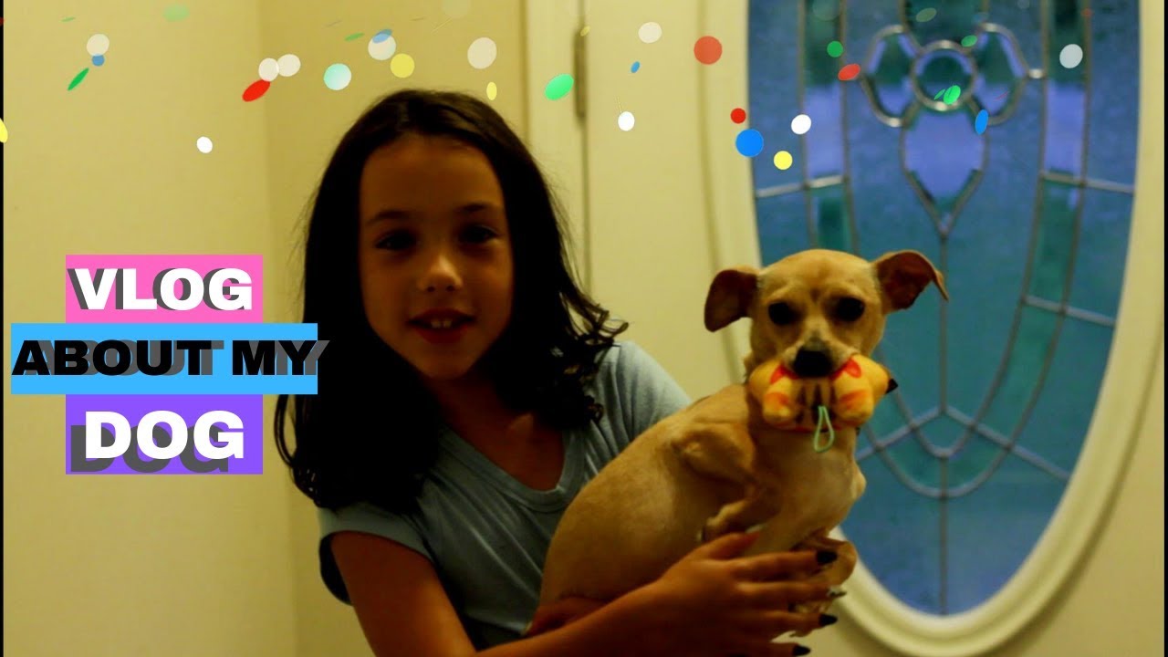 VLog About My Dog - YouTube