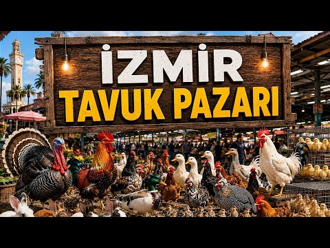Tavuk Pazarın'da Güncel Fiyatlar Yeni Bölüm..    @BilgiAğacı35  #keşfet #viralvideo 