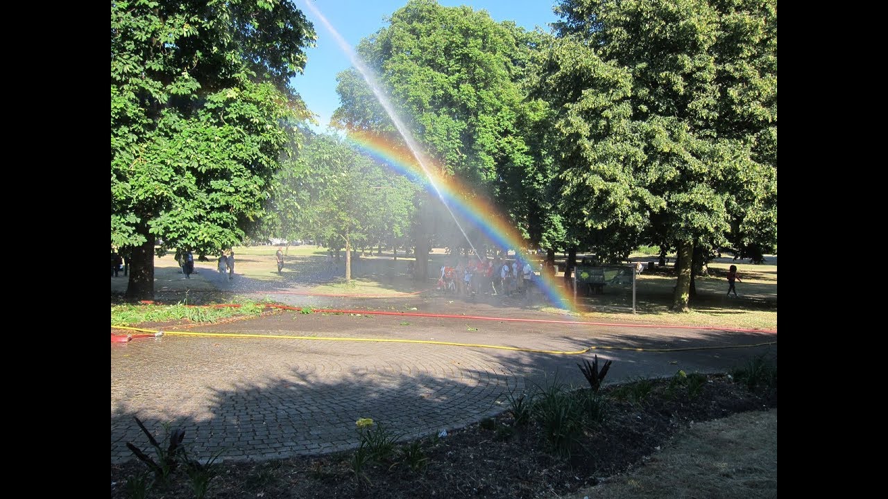 Cat Rescue in Southall Park - YouTube