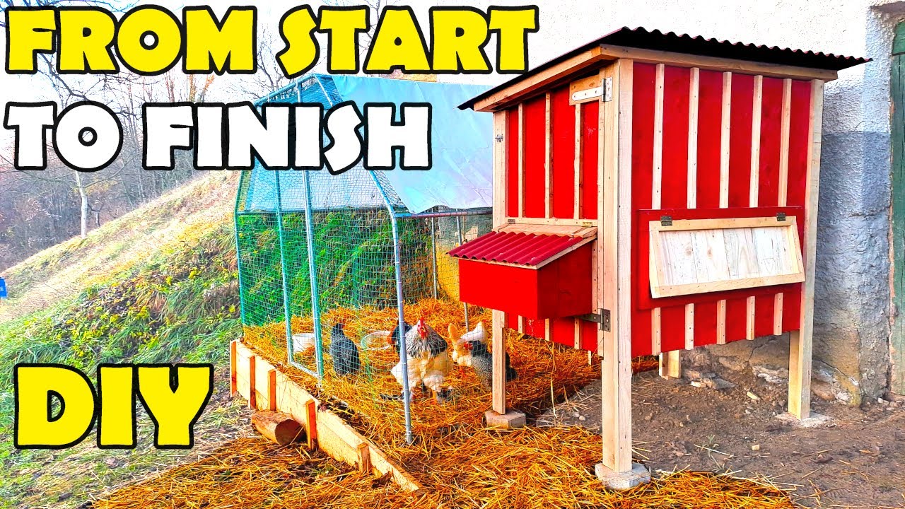 DIY chicken coop FROM START TO FINISH - YouTube
