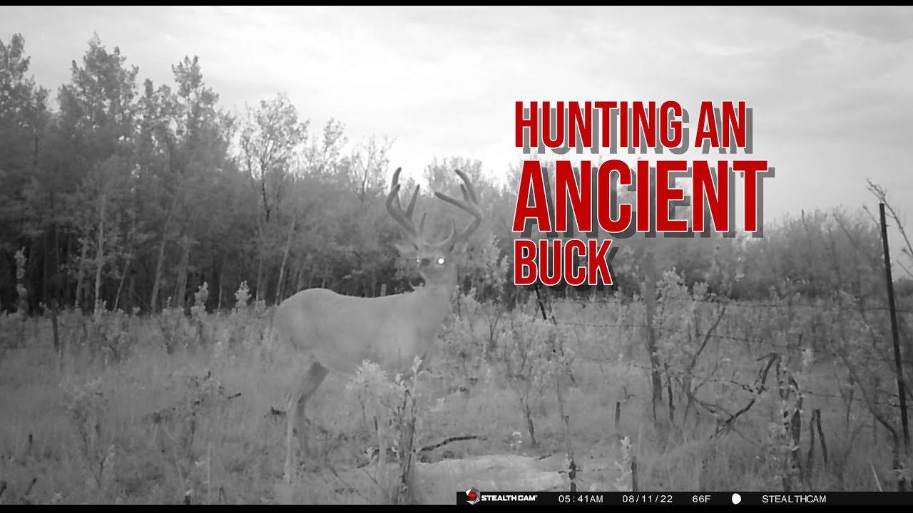 A Season long quest for a LEGENDARY buck - YouTube