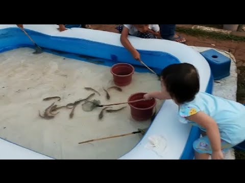 🔴Mancing Ikan Di Kolam Kecil and climbing child gym